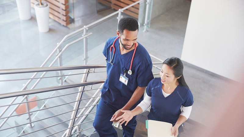 Physician Assistant Graduate Program | Bethel University