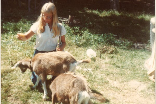 Teresa Forliti named College of Adult & Professional Studies Alumna of ...