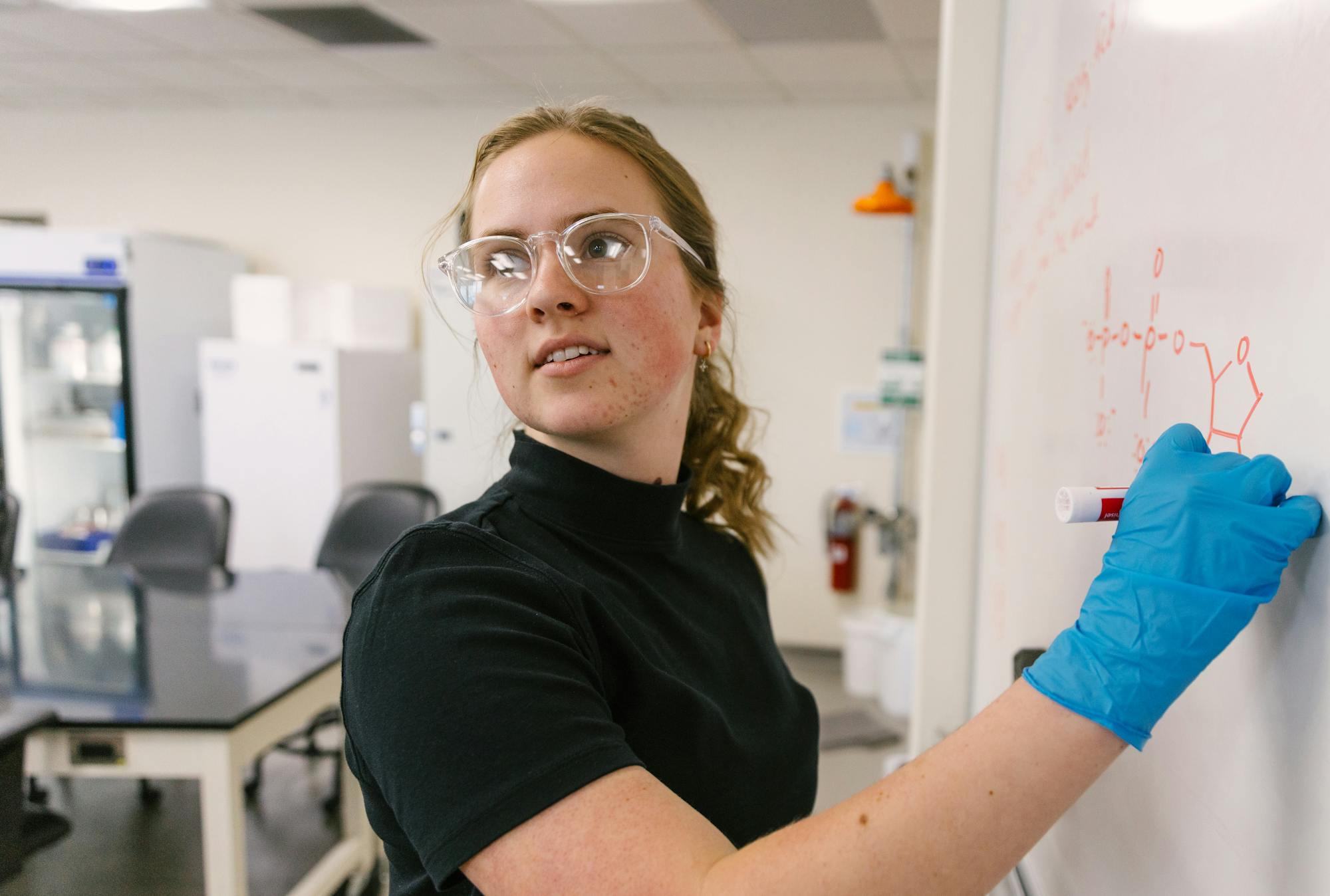 Environmental Science Major | B.S. in Environmental Science | Bethel ...