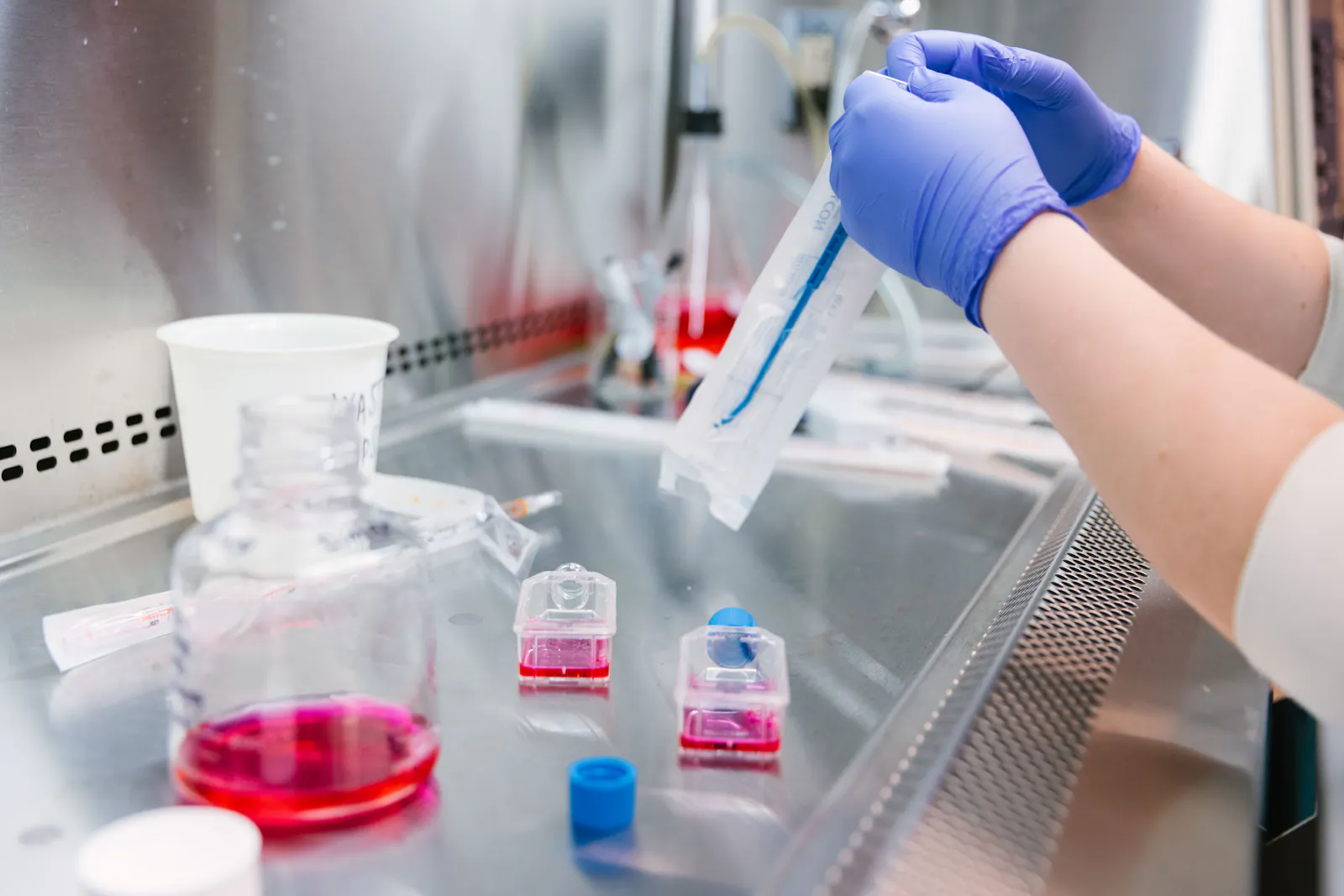 Pre-Med Program | Biology Department | Bethel University